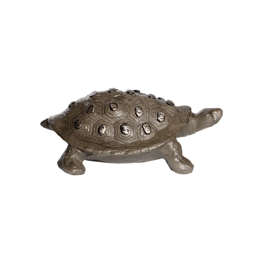 Tortuga – Jan Barboglio