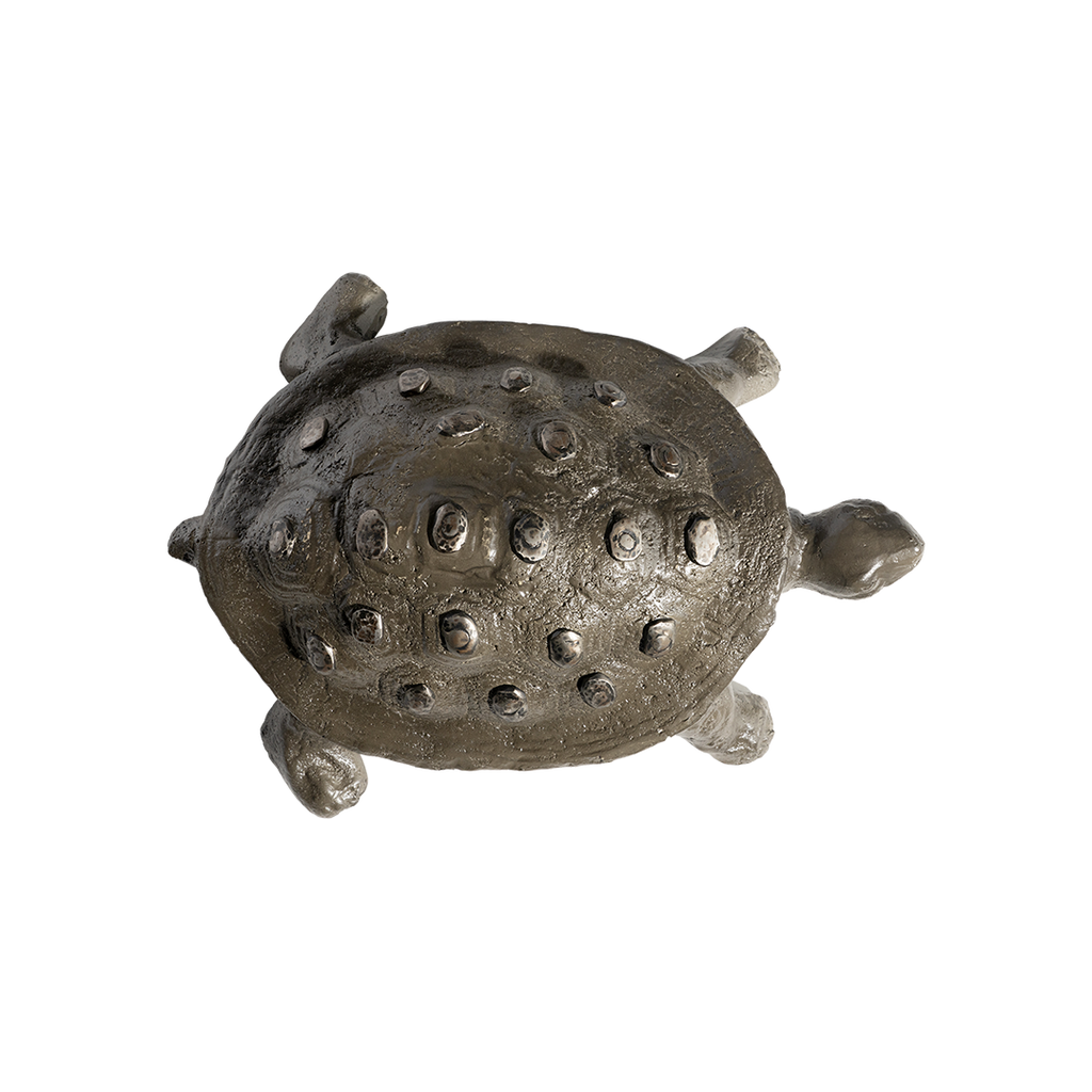 Tortuga – Jan Barboglio