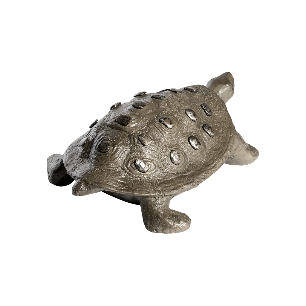 Tortuga – Jan Barboglio